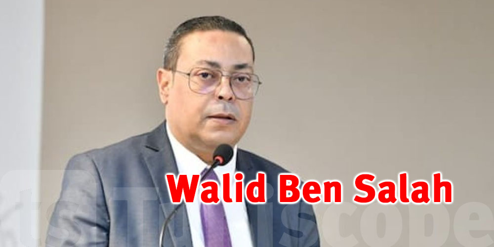 Walid Ben Salah prend la tête de la Fédération panafricaine des experts ...