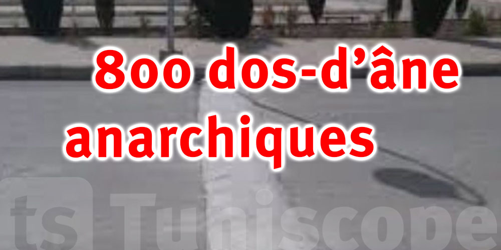 800 dos-d’âne installés illégalement sur les routes