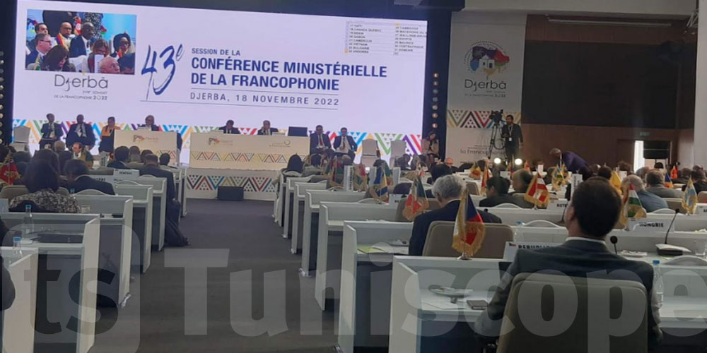 Francophonie : Mise en place d'une nouvelle stratégie pour l'OIF
