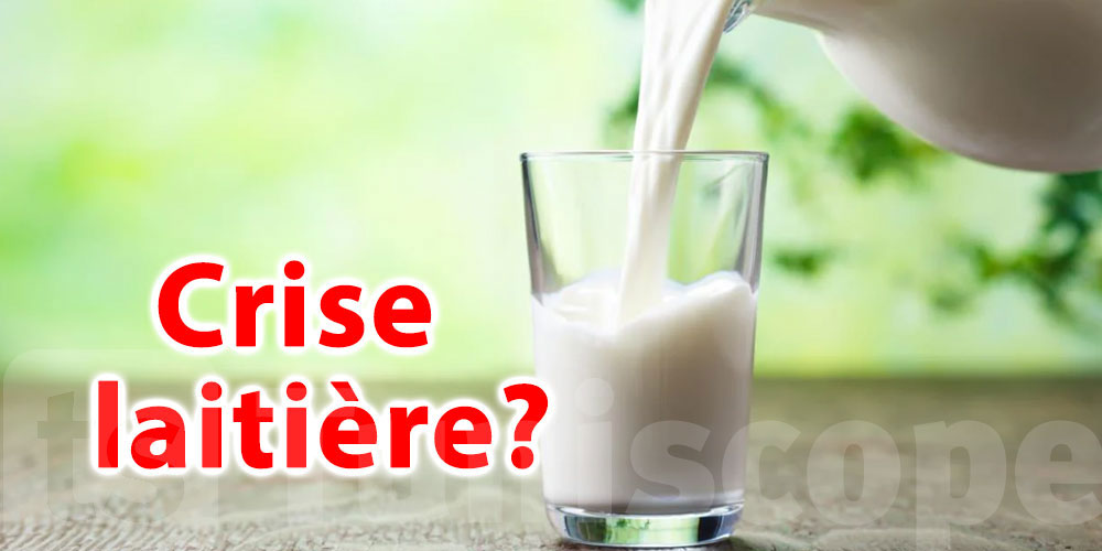 Comment mettre fin à la crise du lait
