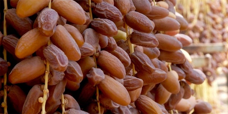 La Tunisie a exporté plus de dattes cette année
