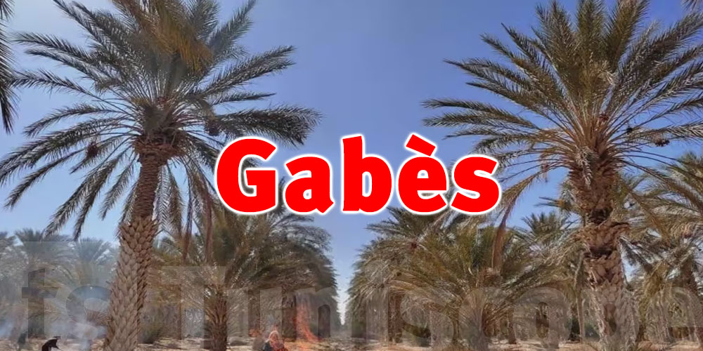 L'oasis de Jemna en danger de disparition