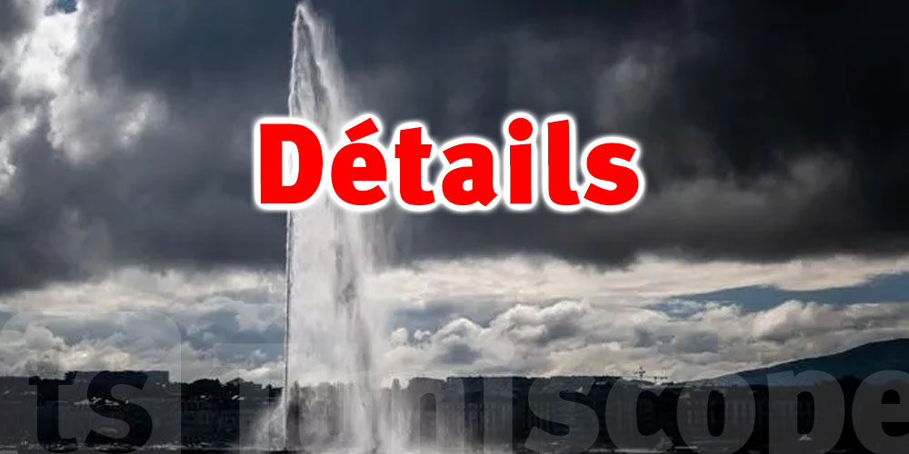 Suisse : il veut embrasser le jet d'eau de Genève et termine aux urgences