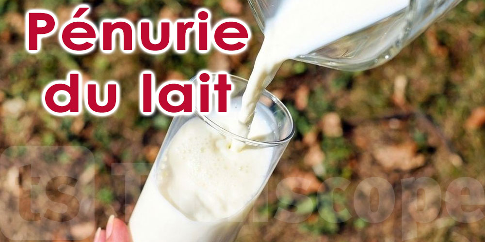 Tunisie : Augmentation du prix du lait
