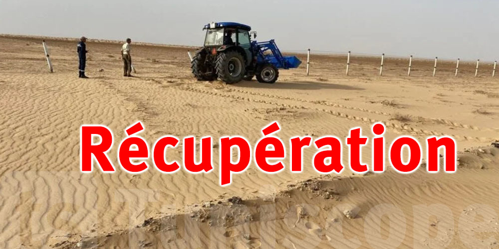 Nefta Récupération Dun Terrain Domanial De 100 Hectares