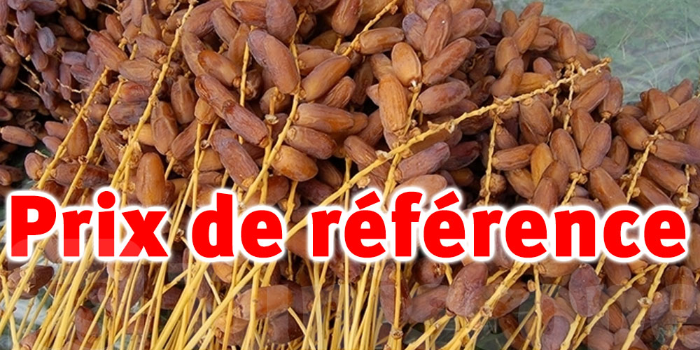 Prix de référence de ''Deglet Ennour''