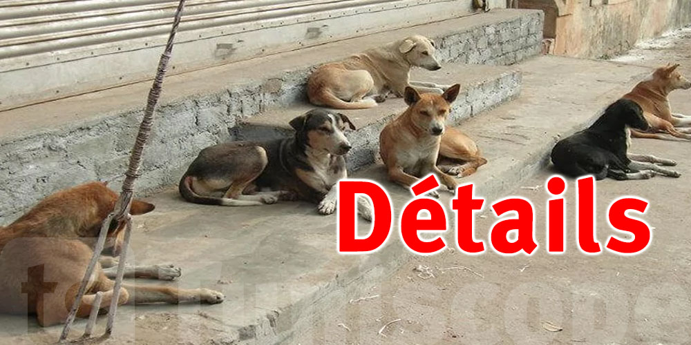 Comment faire pour éradiquer la rage