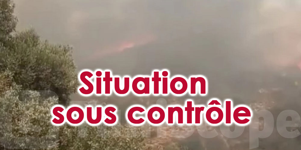 Incendie à Jebel Bargou: La situation est sous contrôle